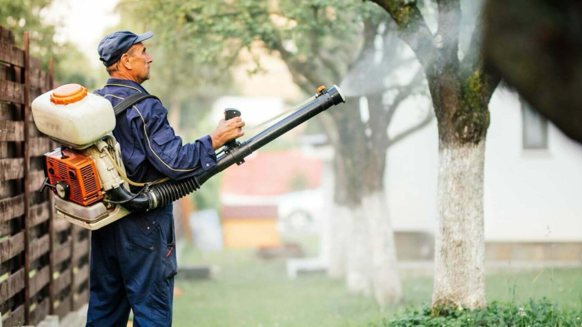 Residential Mosquito Control - Mosquito Tech